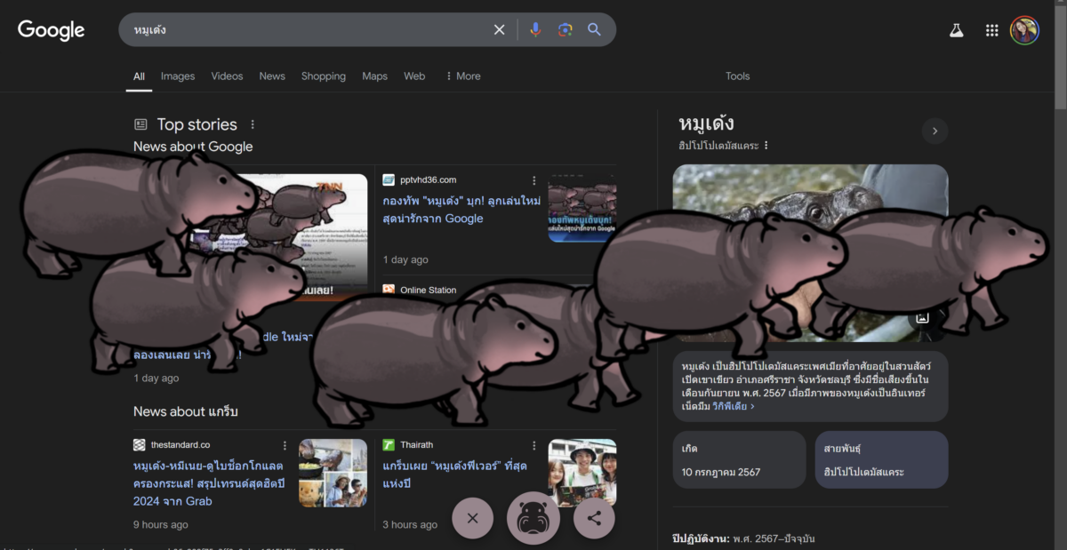 หมูเด้ง บุก Google Doodle ฮิปโปแคระไทย ต้าวก้อน ดังไกลทั่วโลก - ACCESSTRADE TH